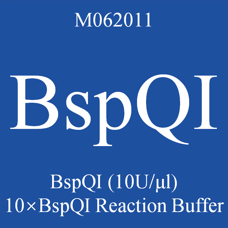 BspQI, BspQ I, M062011 – Tinzyme Ltd